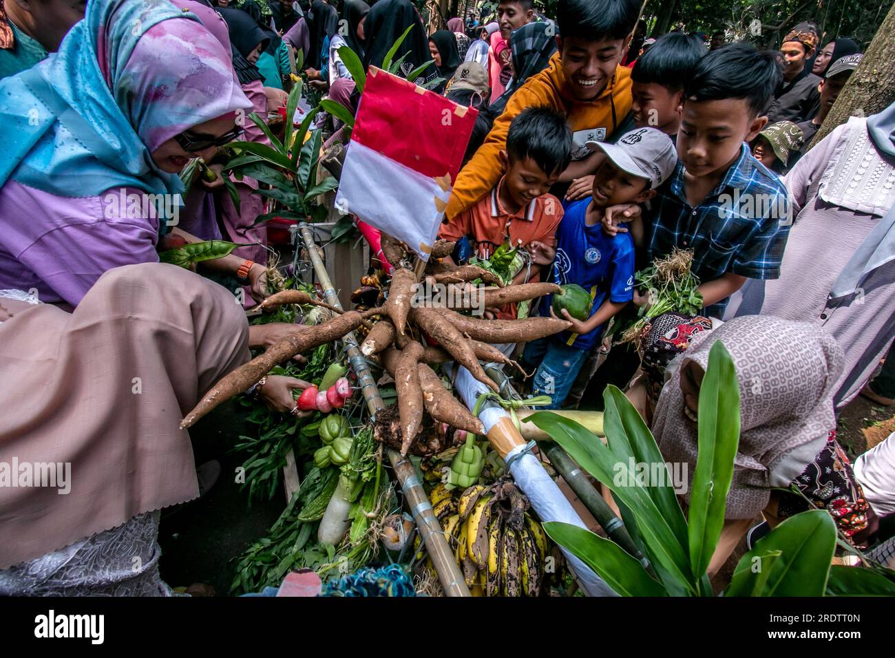 Residents collect food ingredients, vegetables and fruits at the earth ...