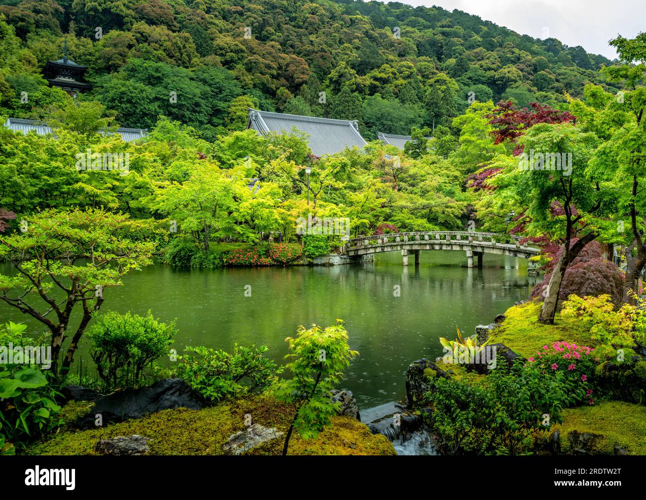 Eikan-dō (Zenrin-ji) Temple Kyoto Japan Stock Photo - Alamy