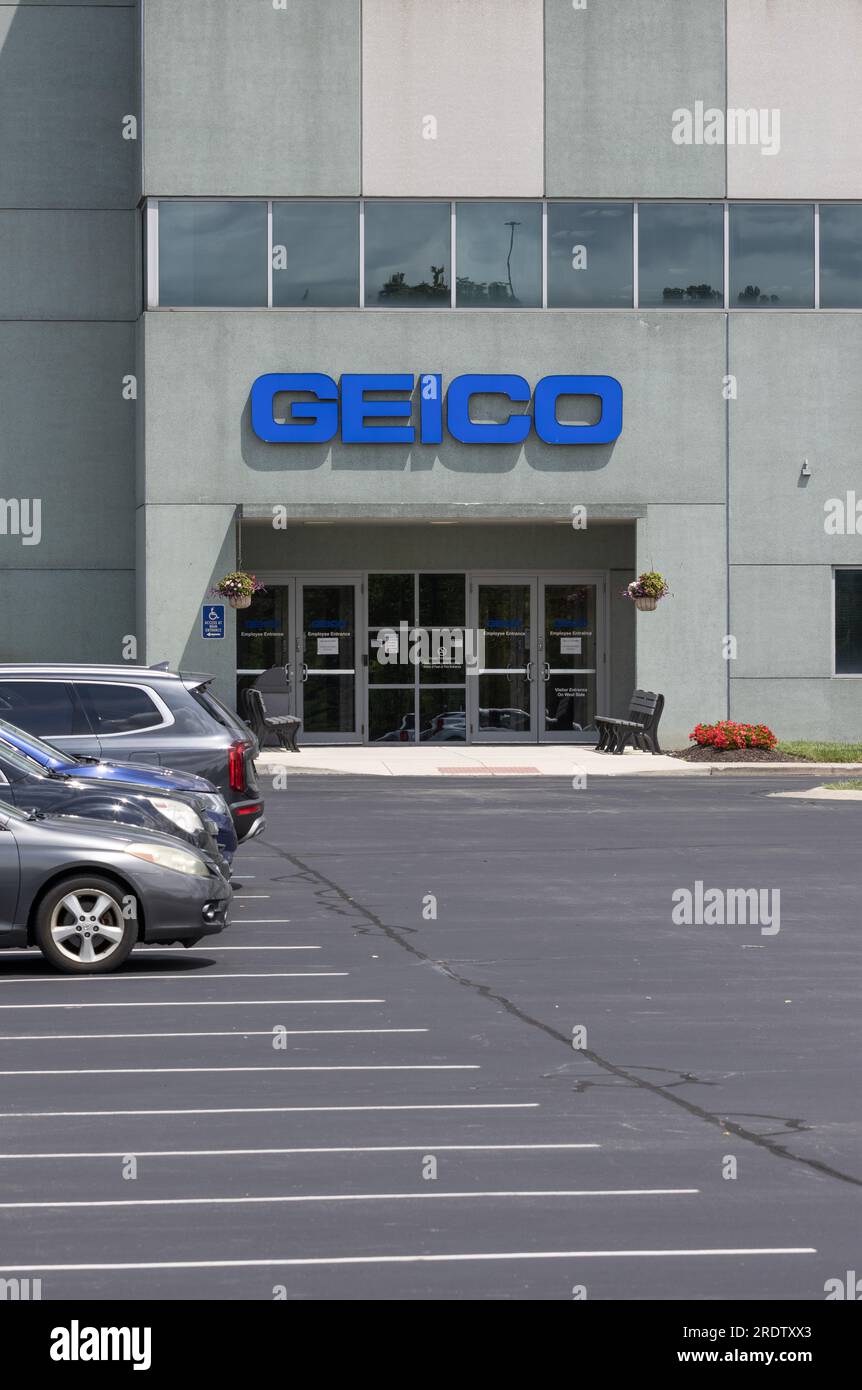 Geico gecko hi-res stock photography and images - Alamy