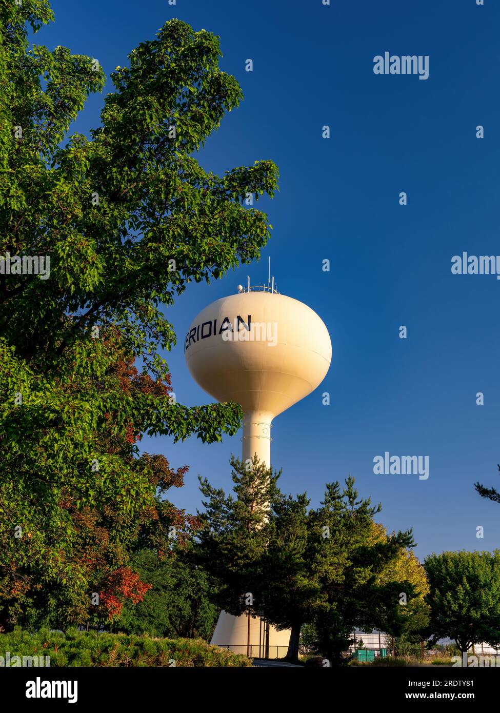 Iconic landmark yellow water tower in Meridian Idaho Stock Photo - Alamy