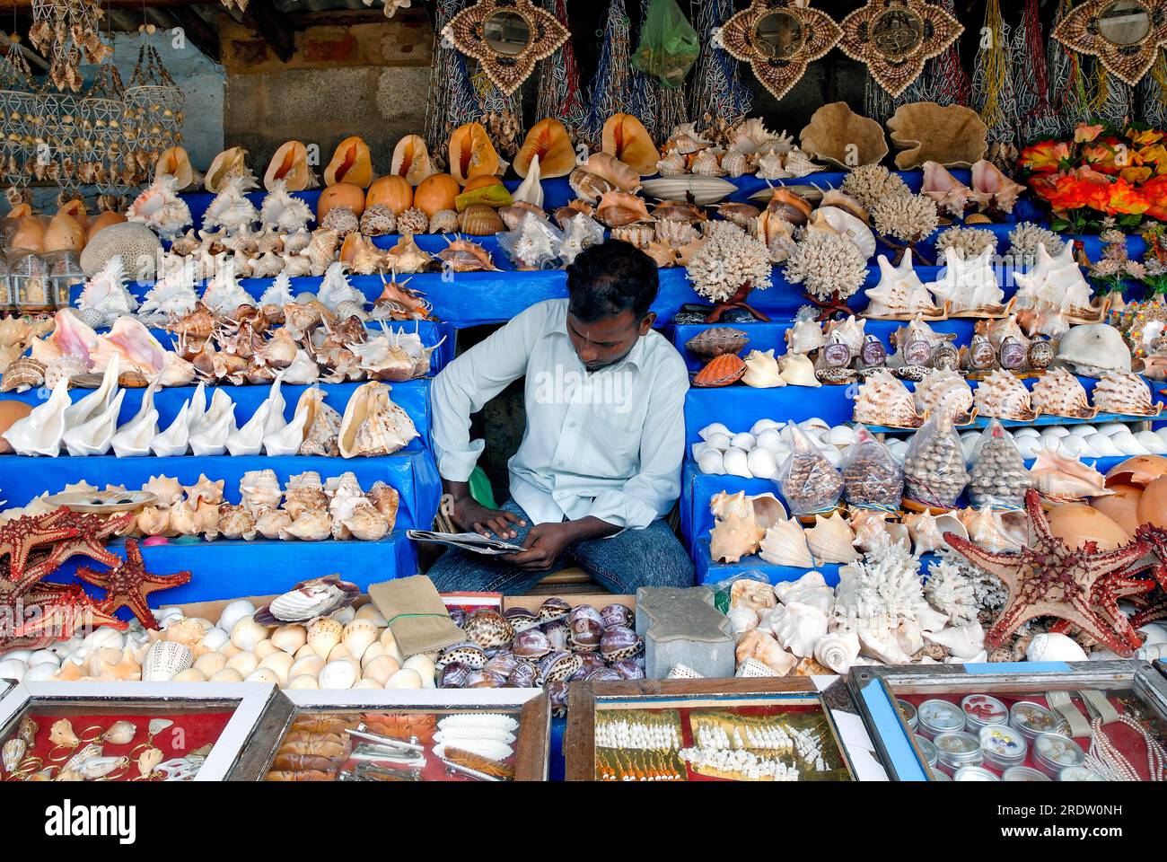 Sea Shells shop in sea shore at Kanyakumari, Tamil Nadu, South India ...