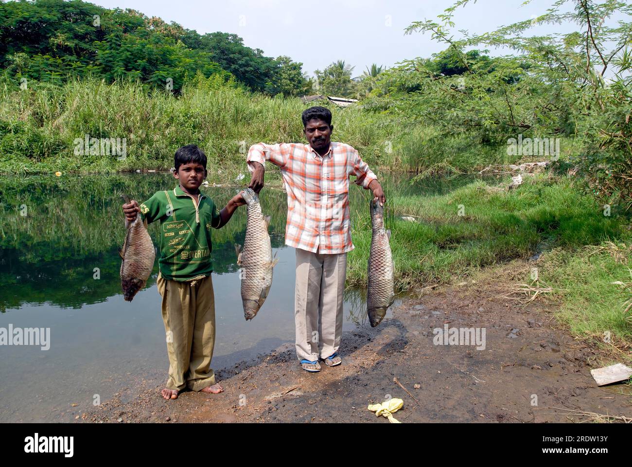 A boy and a man holding big sized dead fish. Dead fish along the banks ...