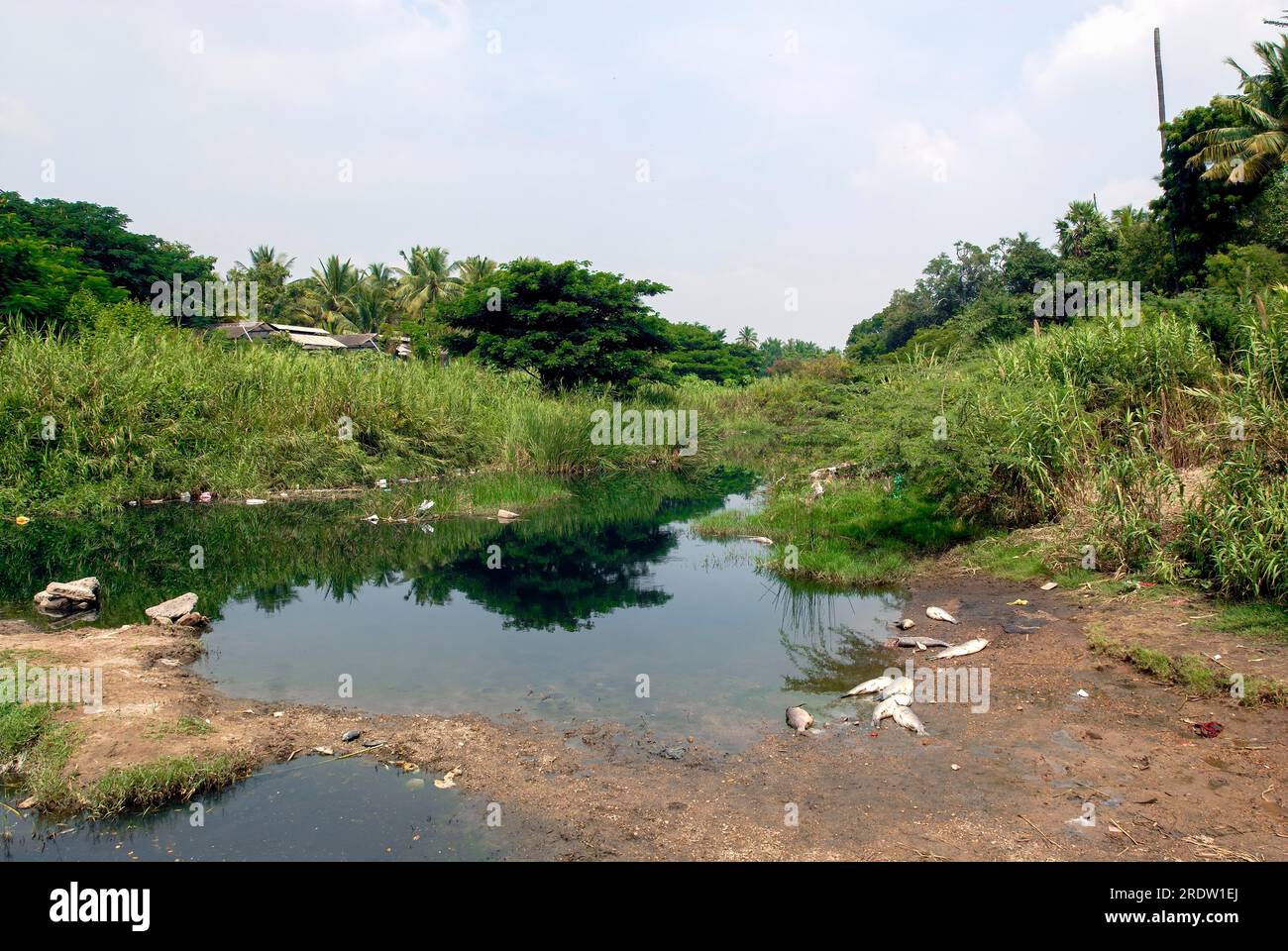 Noyyal river hi-res stock photography and images - Alamy