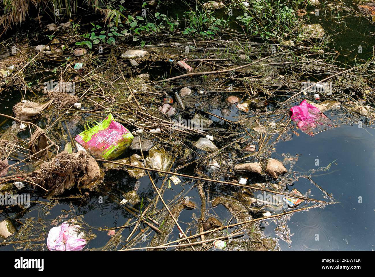 Noyyal river hi-res stock photography and images - Alamy