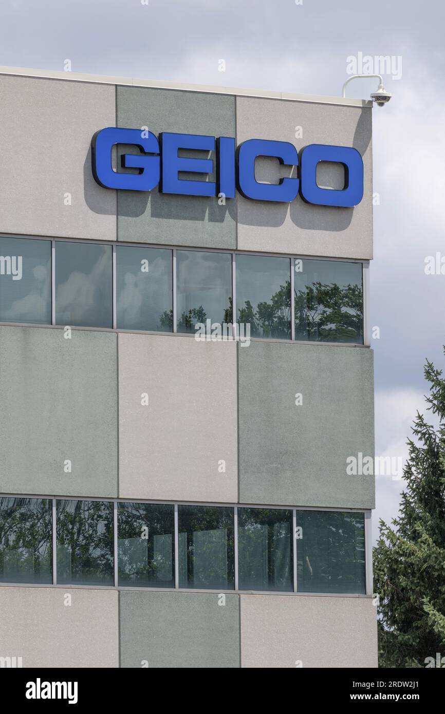 Geico gecko hi-res stock photography and images - Alamy