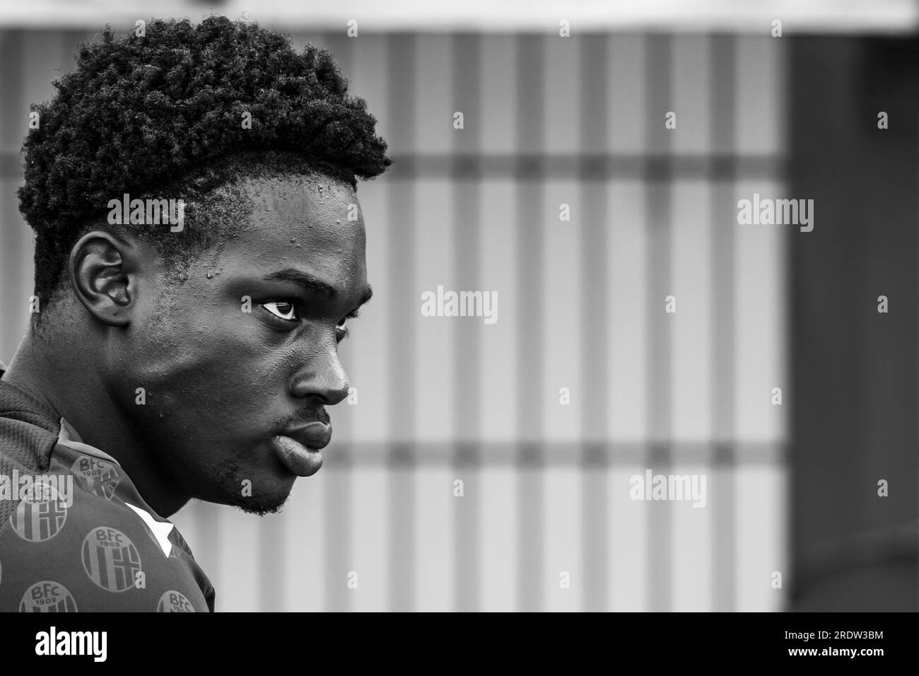 Wisdom amey hi-res stock photography and images - Alamy