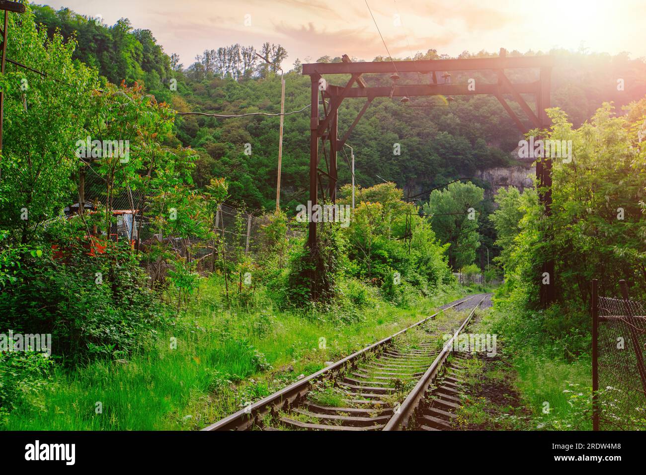 Old abandoned overgrown railway station Stock Photo - Alamy