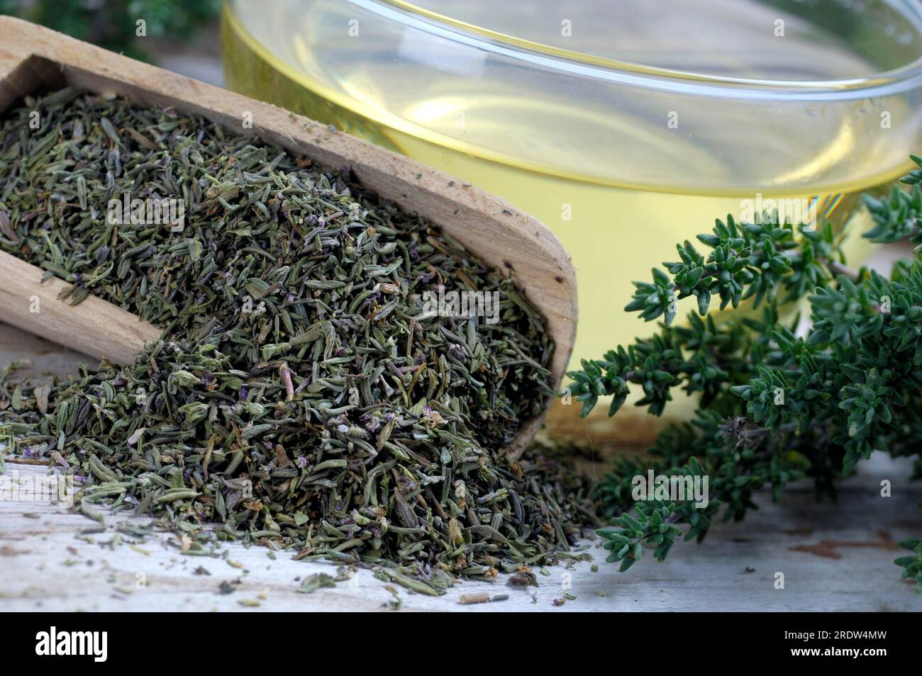 Cup of thyme tea (Thymus pulegioides), dried thyme Stock Photo - Alamy