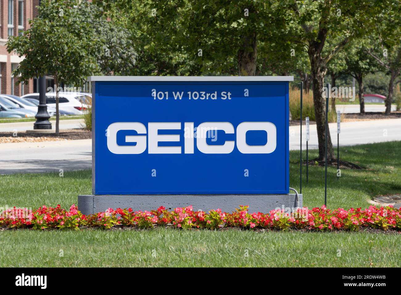 Geico gecko hi-res stock photography and images - Alamy