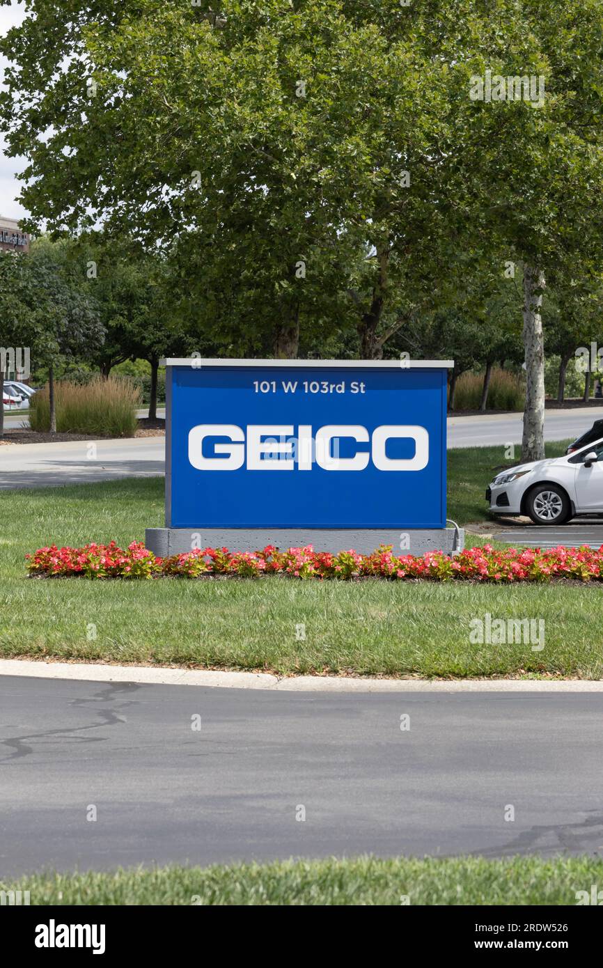 Geico gecko hi-res stock photography and images - Alamy