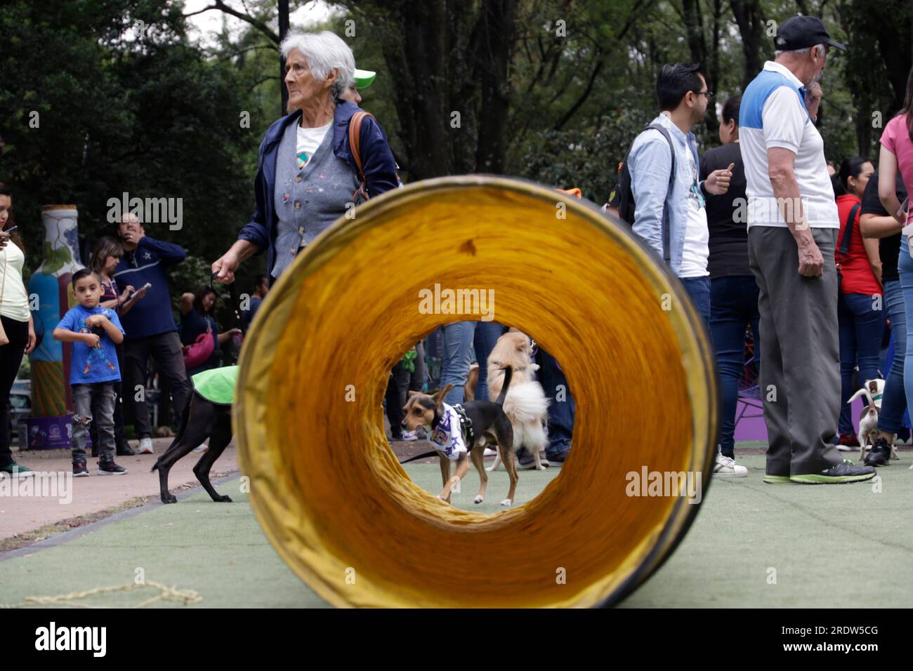 Non Exclusive: July 22, 2023, Mexico City, Mexico: Dogs accompanied by ...