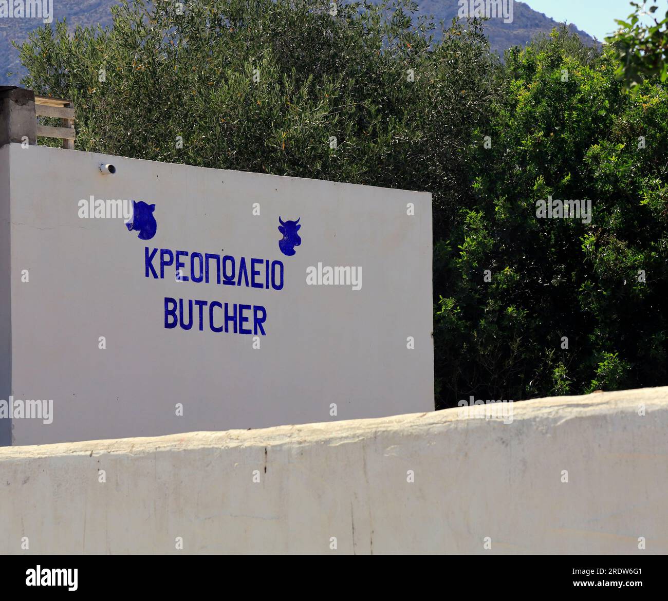 Butcher's shop sign in Greek / English with cow and pig pictures ...