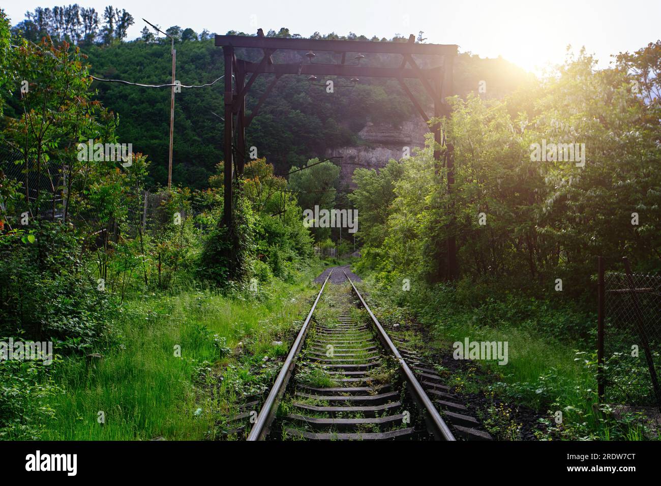 Old abandoned overgrown railway station Stock Photo - Alamy