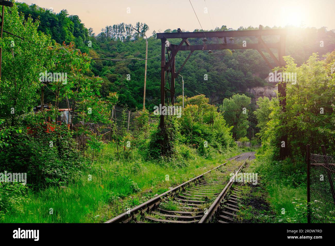 Old abandoned overgrown railway in mountains Stock Photo - Alamy