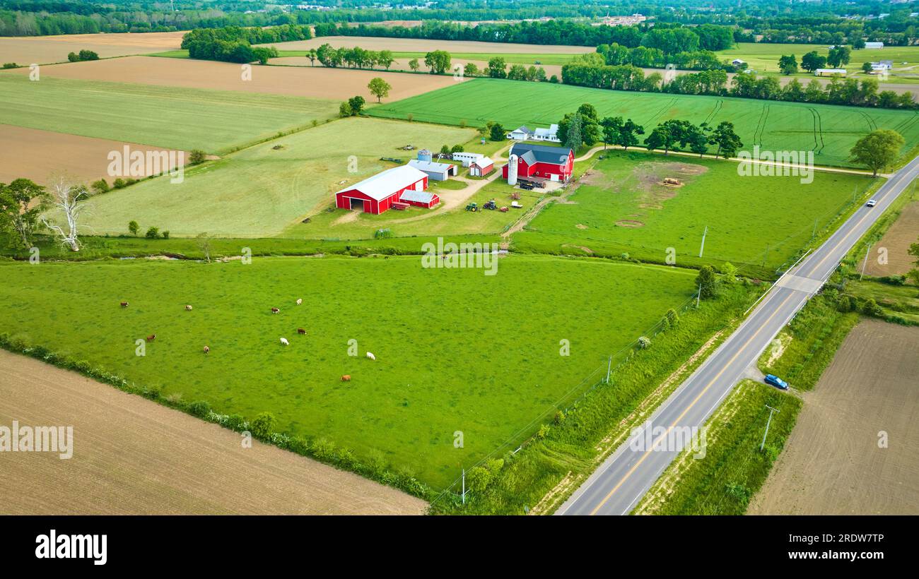 Aerial farmland with cows grazing in green pastures and distant red ...