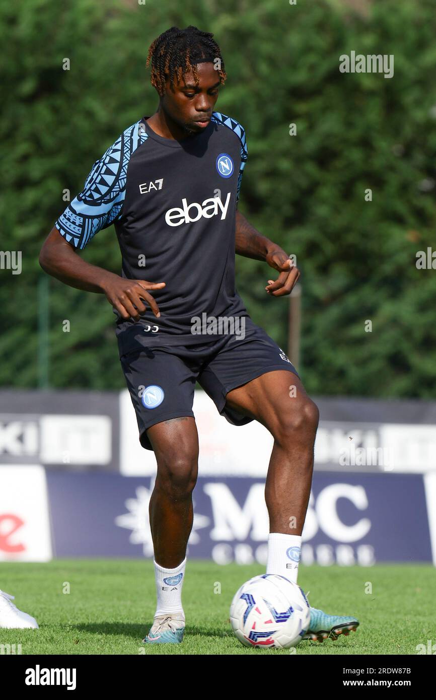 Coli saco hi-res stock photography and images - Alamy