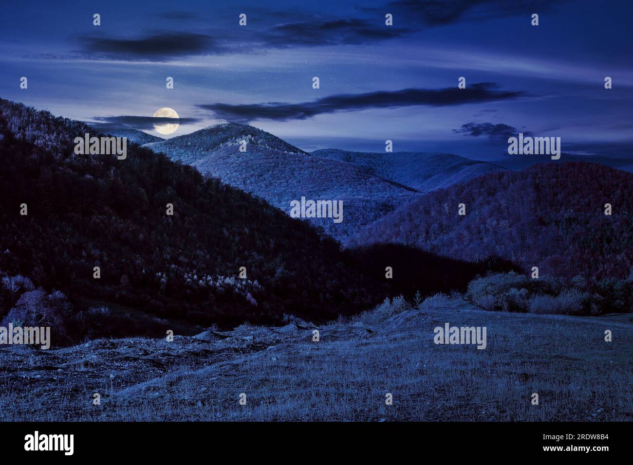 Night fall leaves hi-res stock photography and images - Alamy