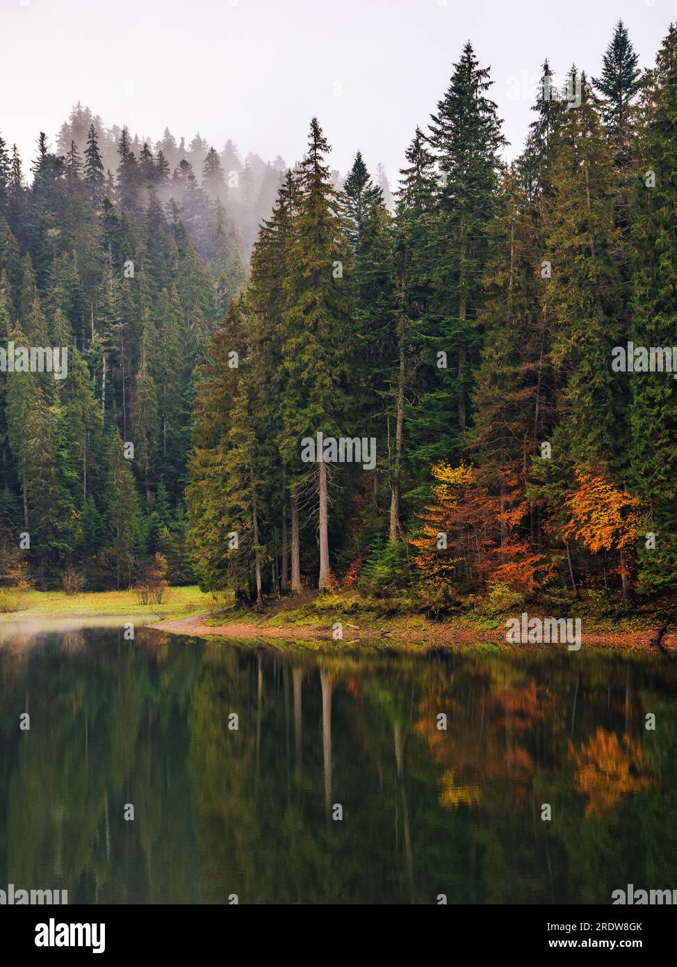 Gloomy morning hi-res stock photography and images - Alamy