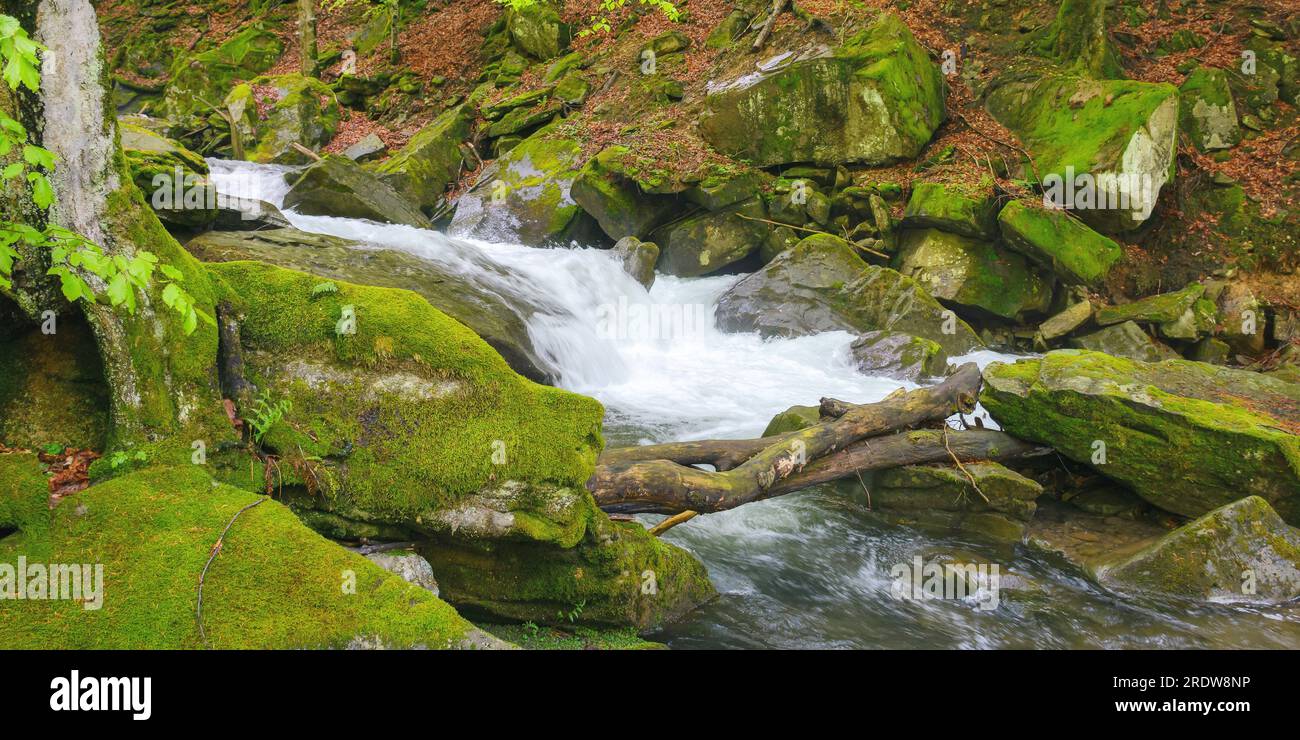 stream in the park among trees. countryside scenery in spring. beauty ...