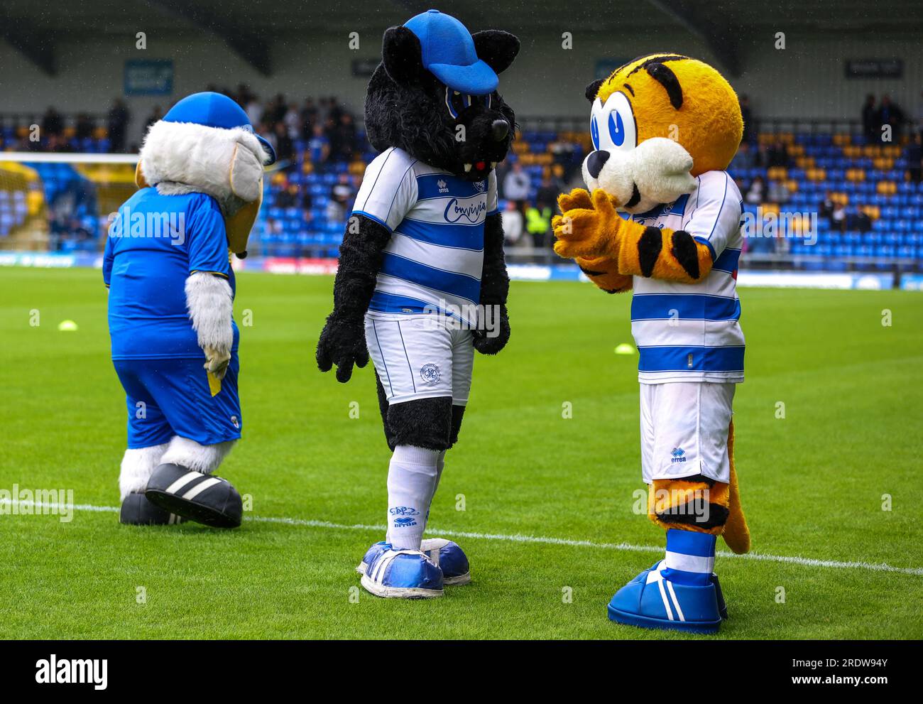 Queens Park Rangers mascots Jude the Cat (centre) and Spark the Tiger ...
