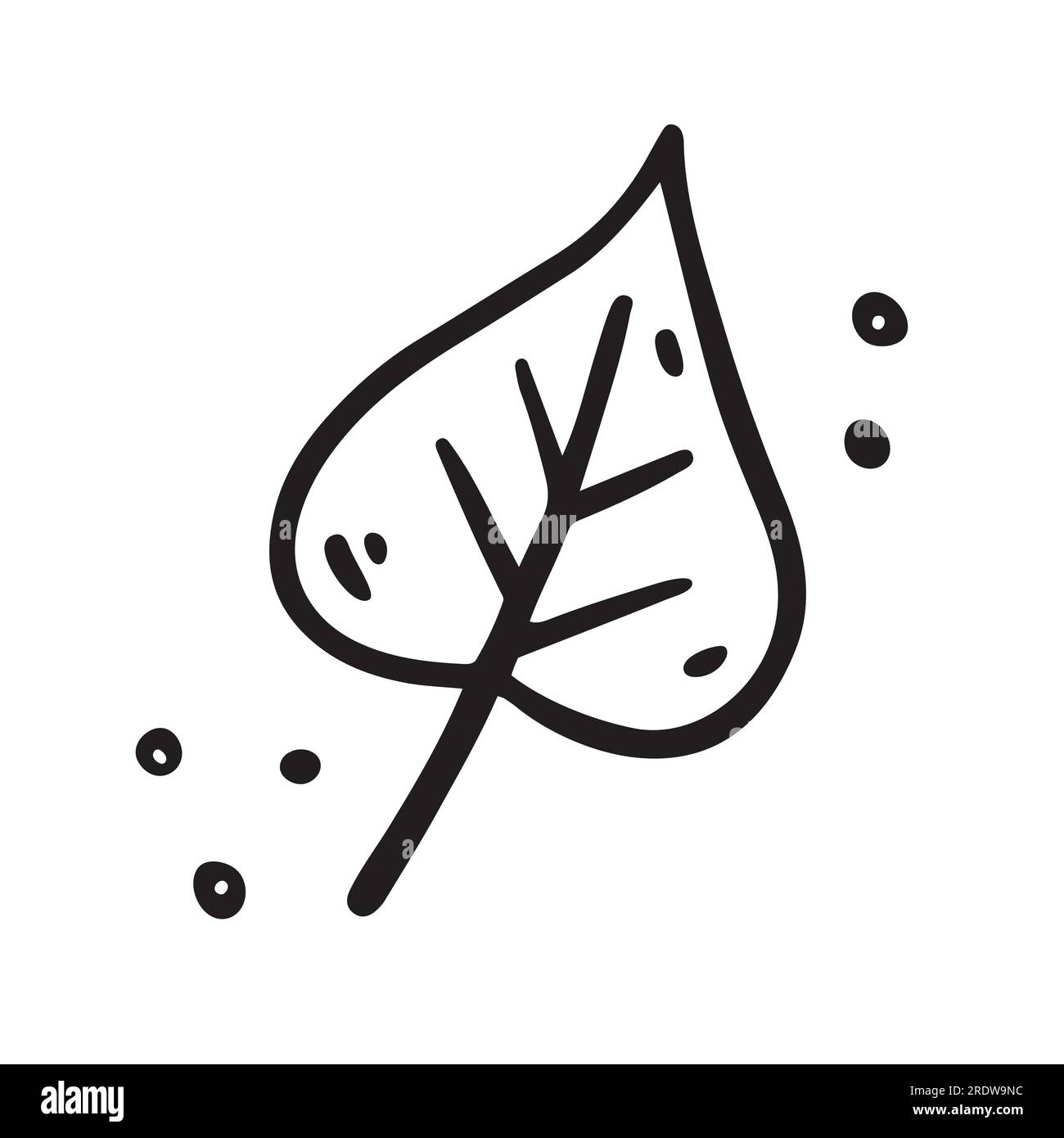 Hand drawn autumn Leaf of aspen. Vector illustration in Doodle style. Isolated on white ...