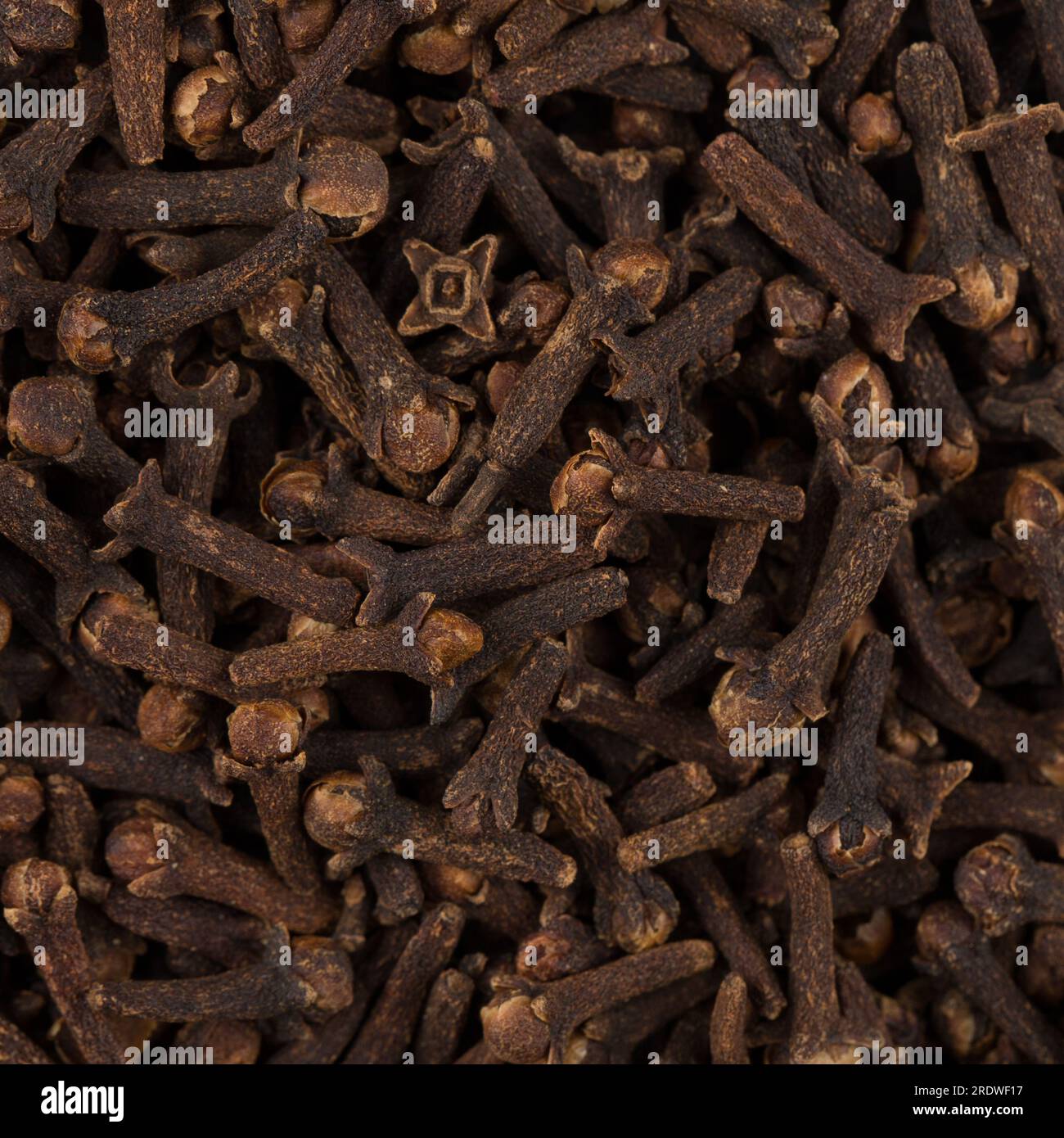 Cloves spice close up as a background Stock Photo - Alamy