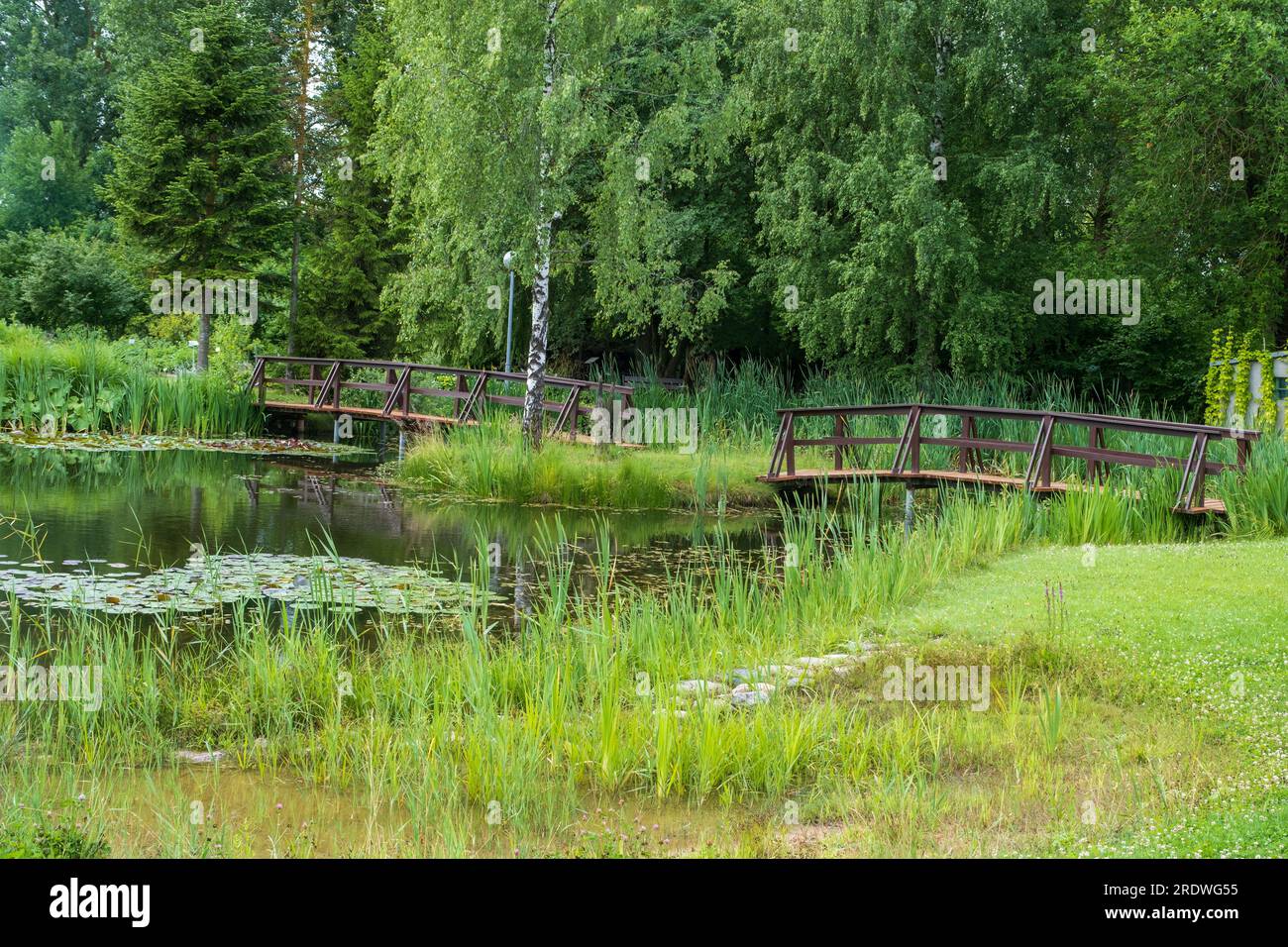 Two small wooden bridges between small ponds in a well-kept beautiful ...
