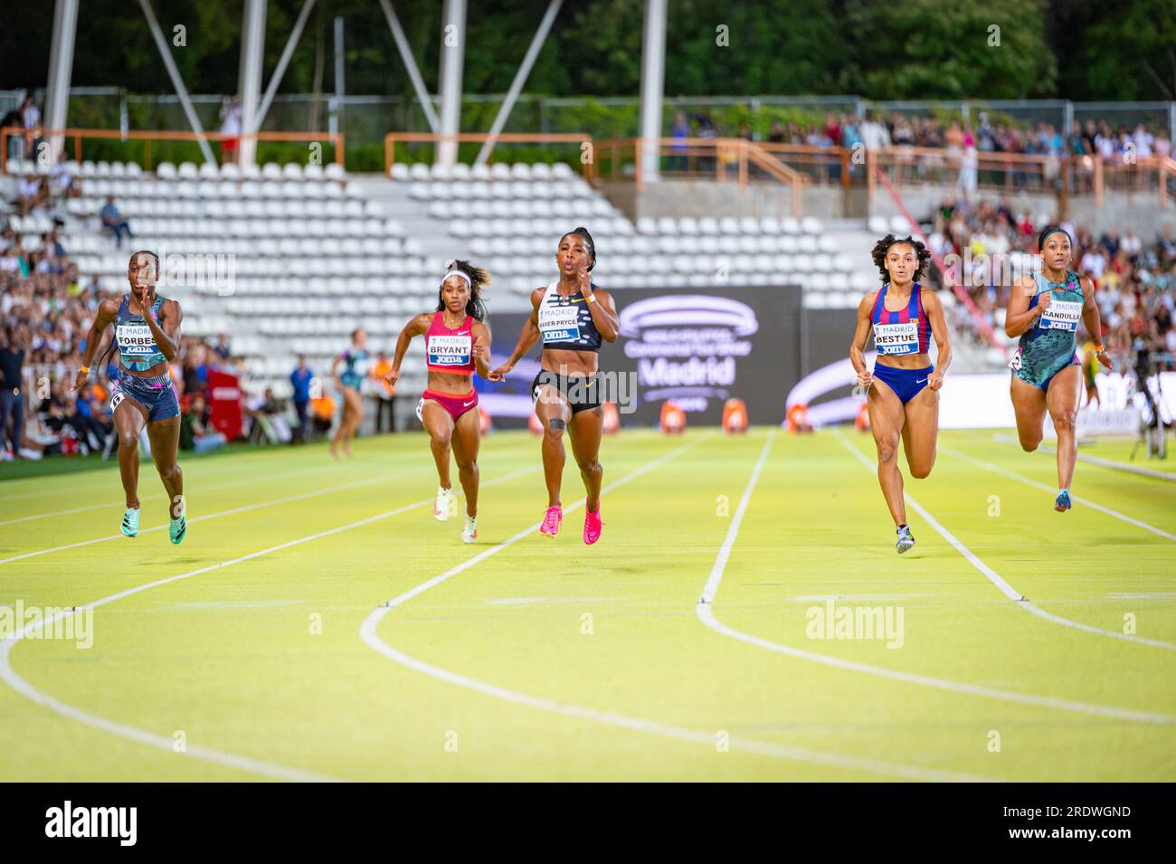 Arialis josefa gandulla hi-res stock photography and images - Alamy