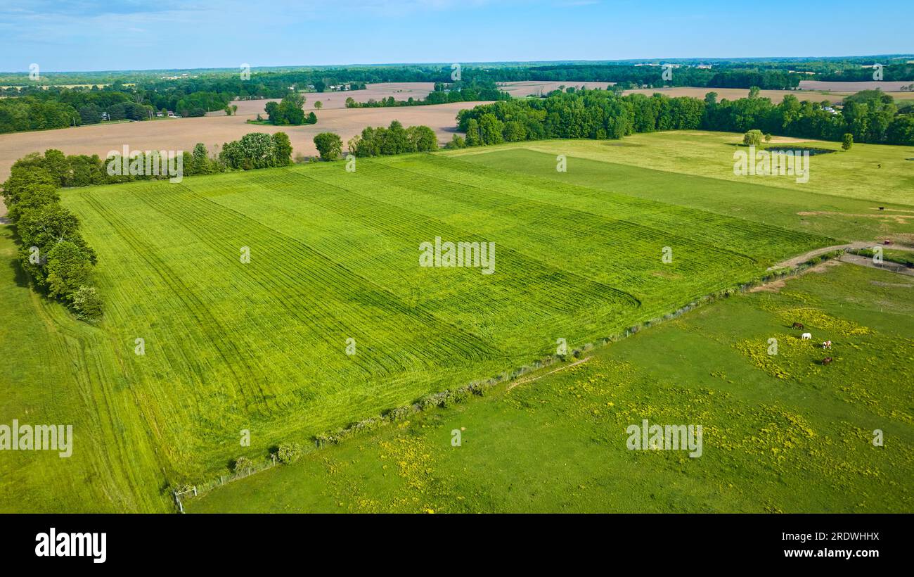 Recently mowed grass hi-res stock photography and images - Alamy