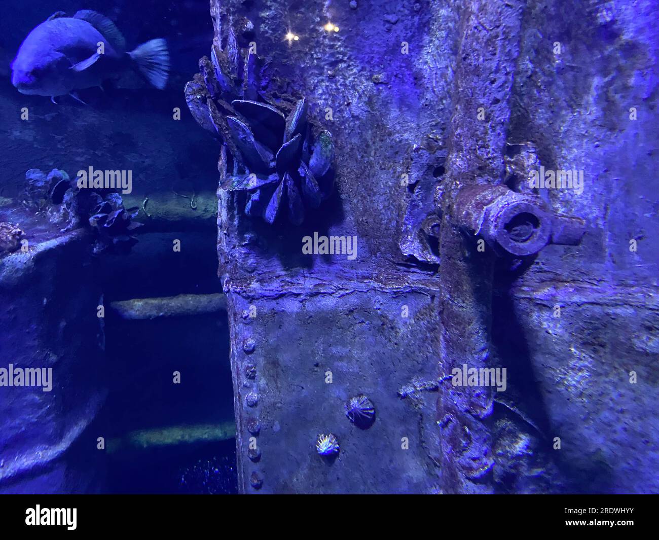 Old Antique Submarine or Ship Hatch Wheel Stock Photo - Alamy