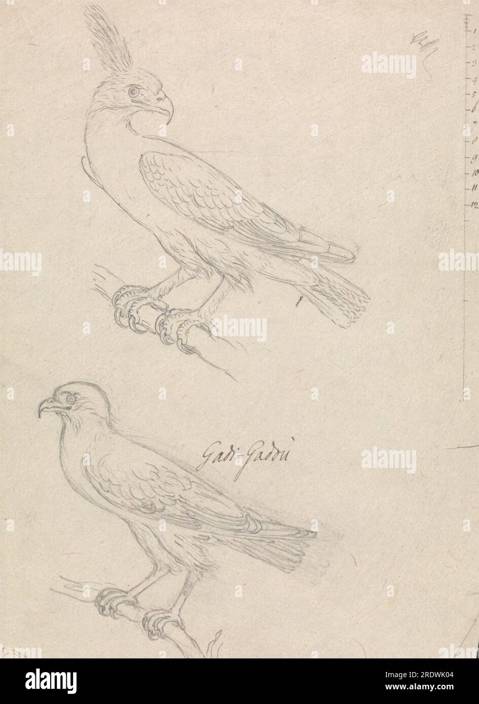 Graphite sketch hi-res stock photography and images - Alamy