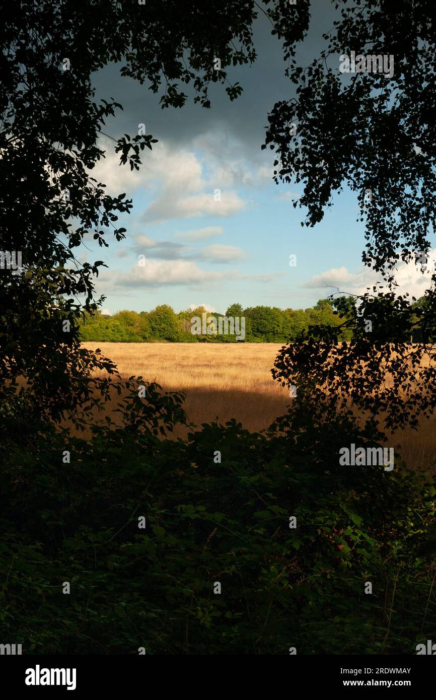 Country landscape with cloudy sky Stock Photo - Alamy
