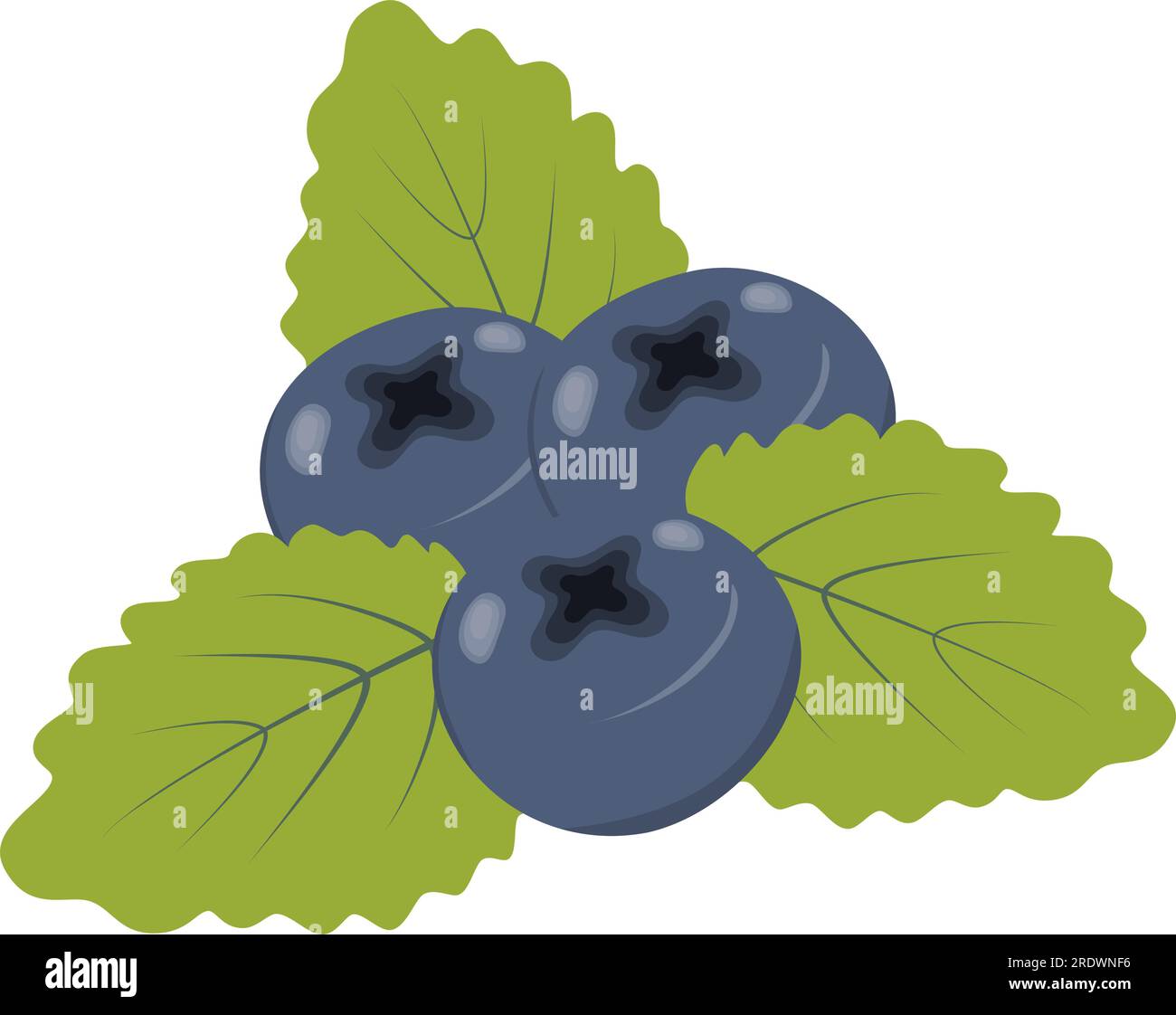 Three blueberries with leaves in bright trendy shades. Sticker. Icon ...
