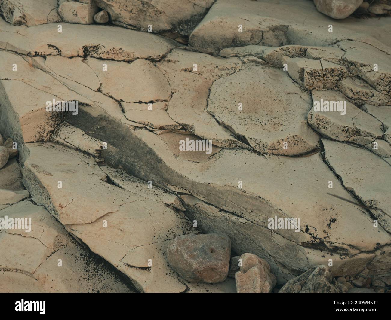 Cell shading effect hi-res stock photography and images - Alamy