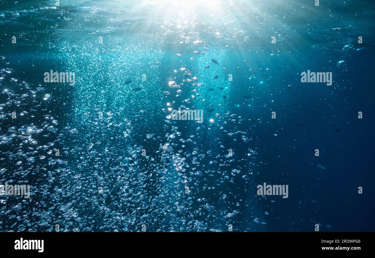 Air bubbles fish hi-res stock photography and images - Alamy