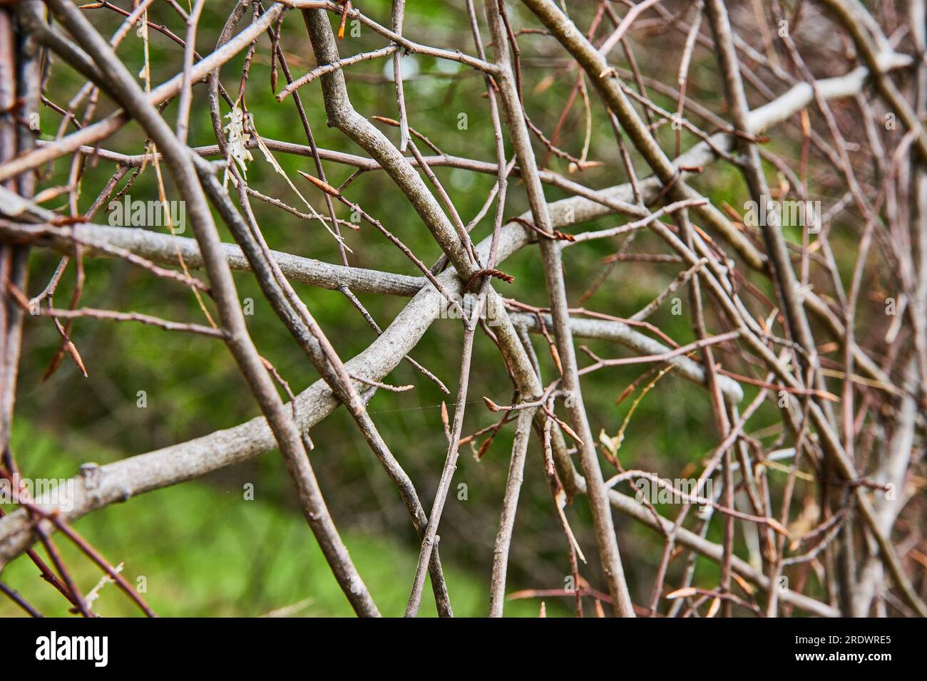 Aris background hi-res stock photography and images - Alamy