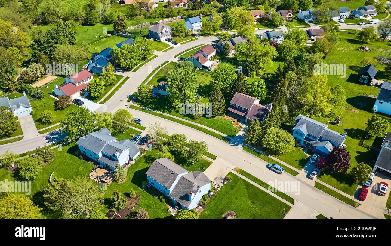 Neighborhood with tall trees in summertime aerial multiple homes Stock ...