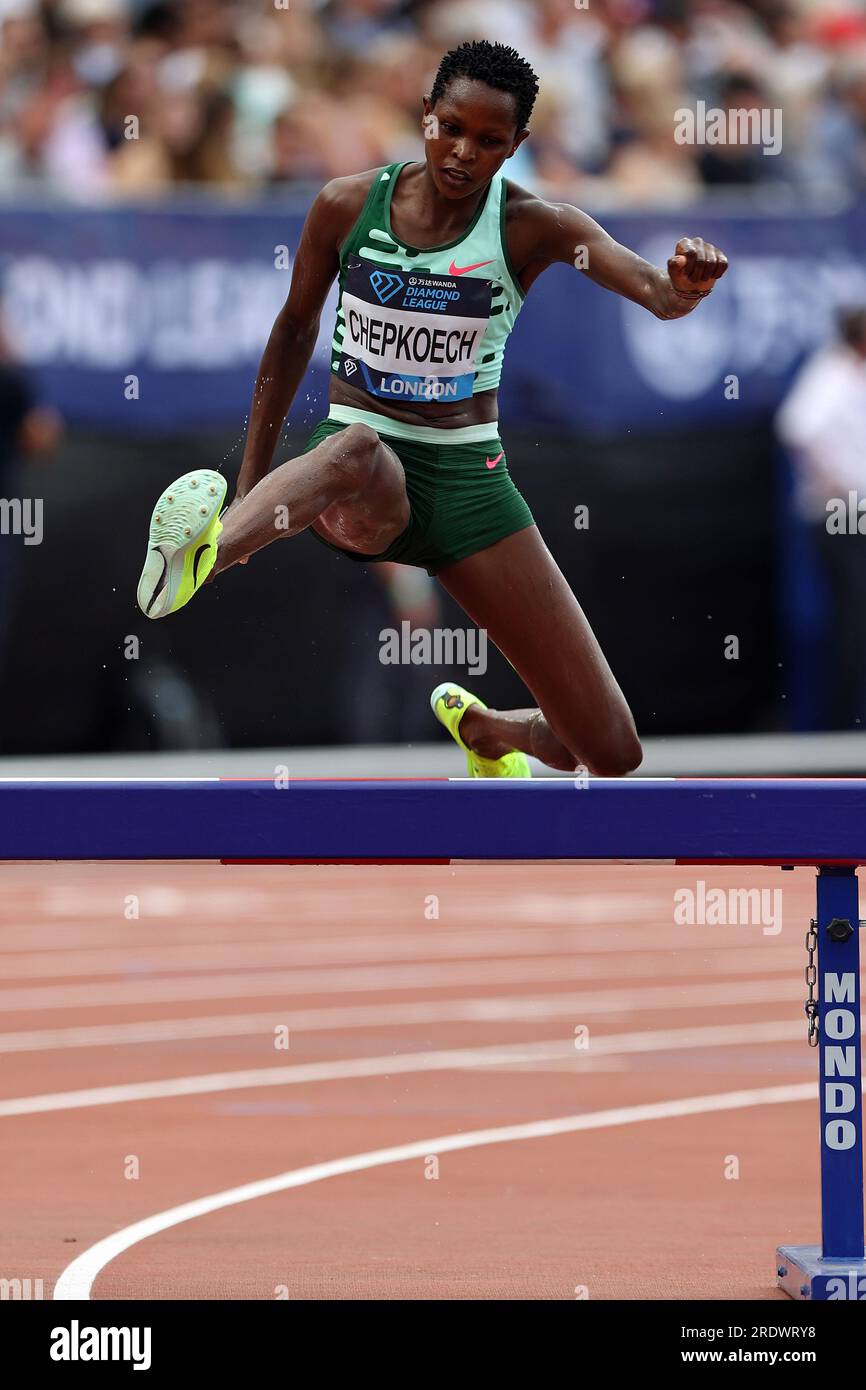 Jackline hi-res stock photography and images - Alamy