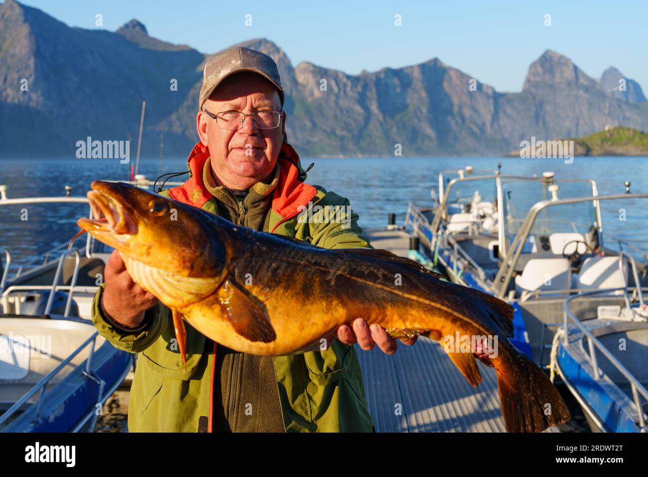 Fisherman holding a huge fish Cod. Norway Fishing tourism. Senior ...