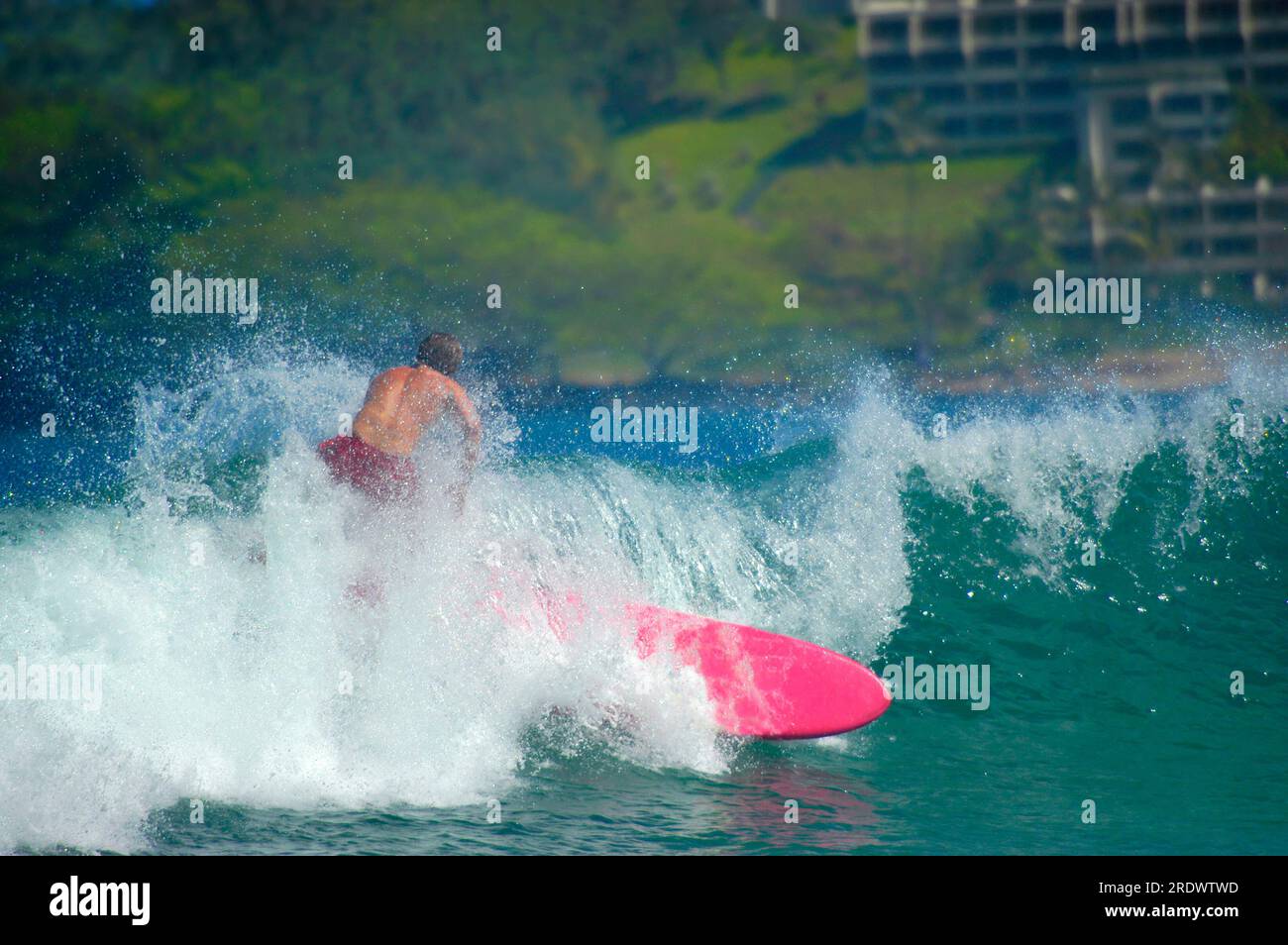 Gaining momentum, surfer and his bright pink surfboard, cuts through a ...
