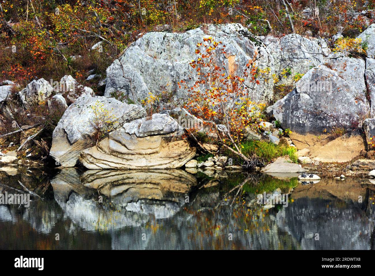 Layered rock sits on the Buffalo River shoreline. It is mirrored in the ...