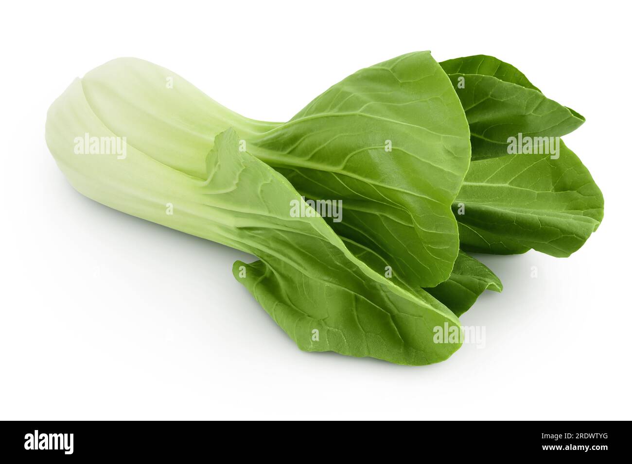 Fresh pak choi cabbage isolated on white background with full depth of ...