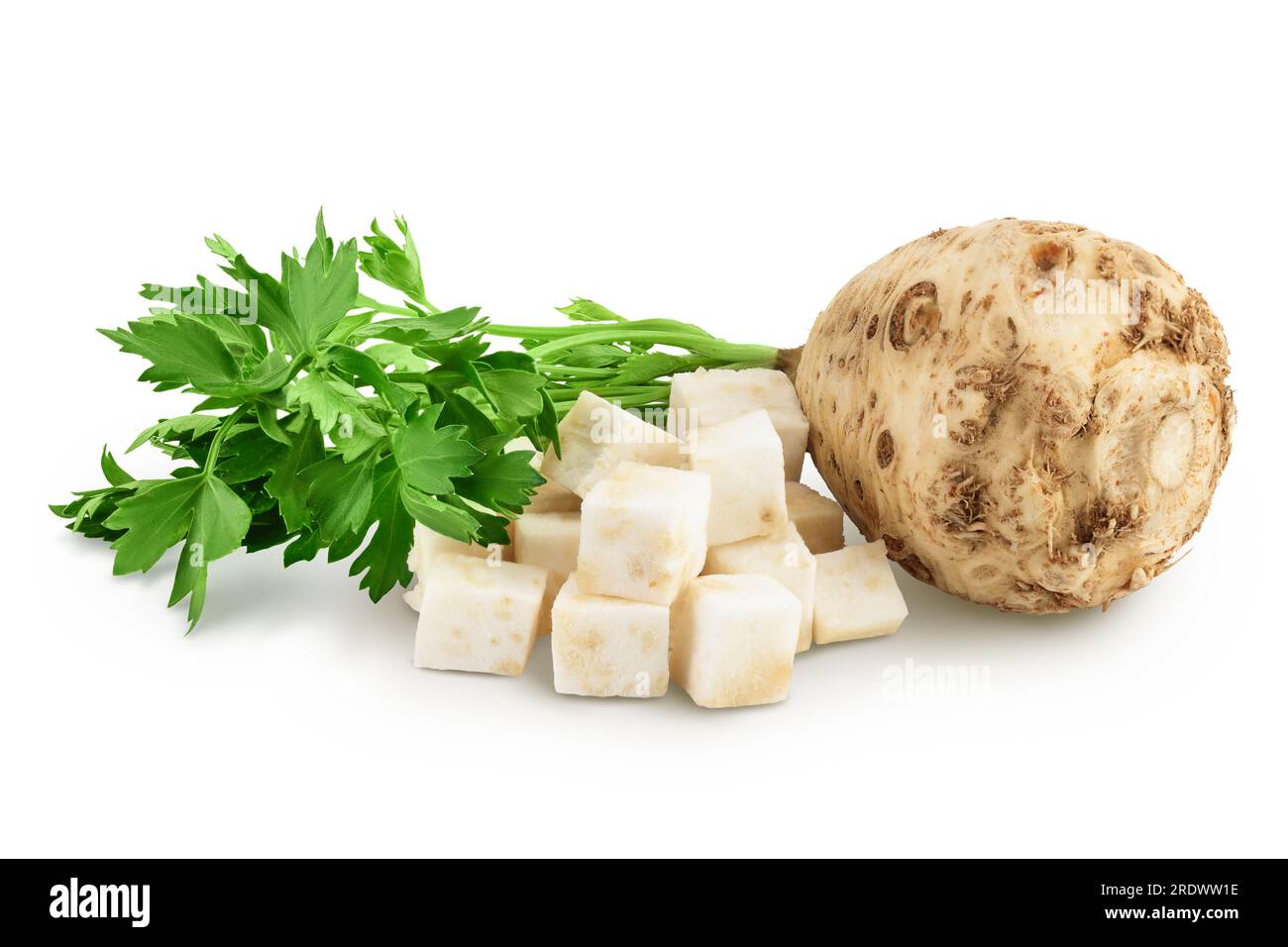 Fresh celery root with leaf isolated on white background Stock Photo ...