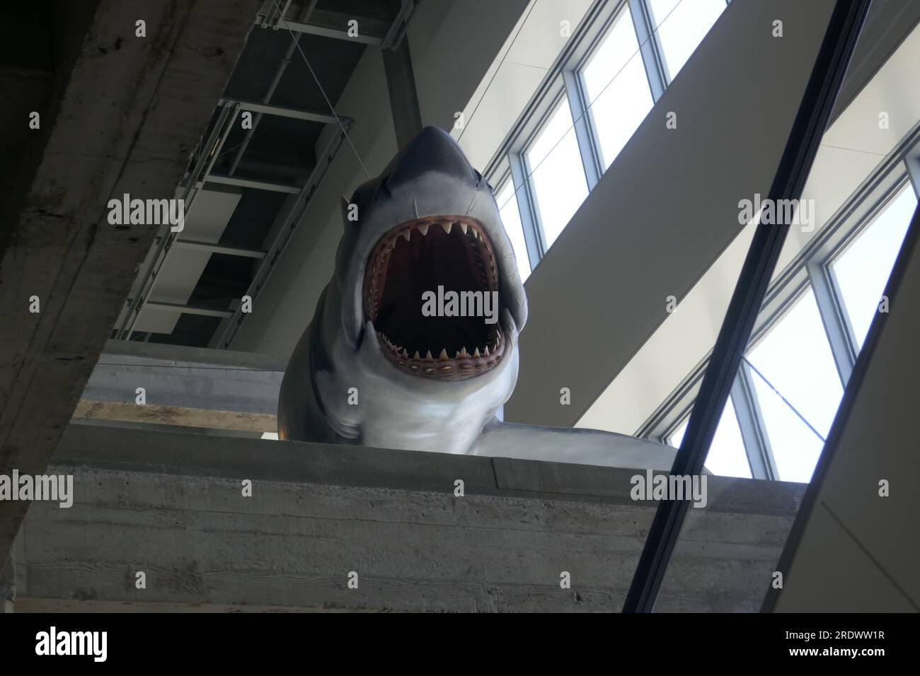 Los Angeles, California, USA 25th July 2022 Jaws Shark at Academy ...