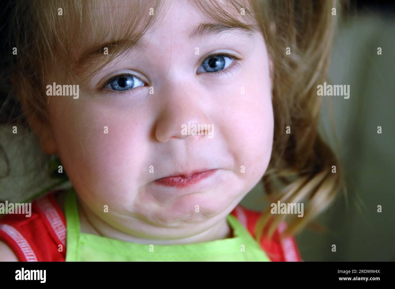 Little girl wrinkles her face up in a frown from something smelling ...