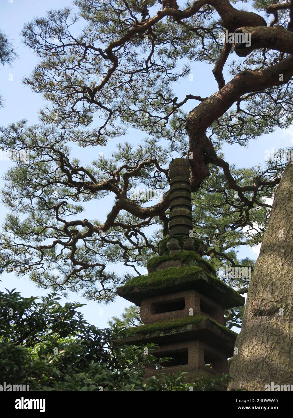 Essence of a Japanese garden: one of the stone lanterns amidst the ...
