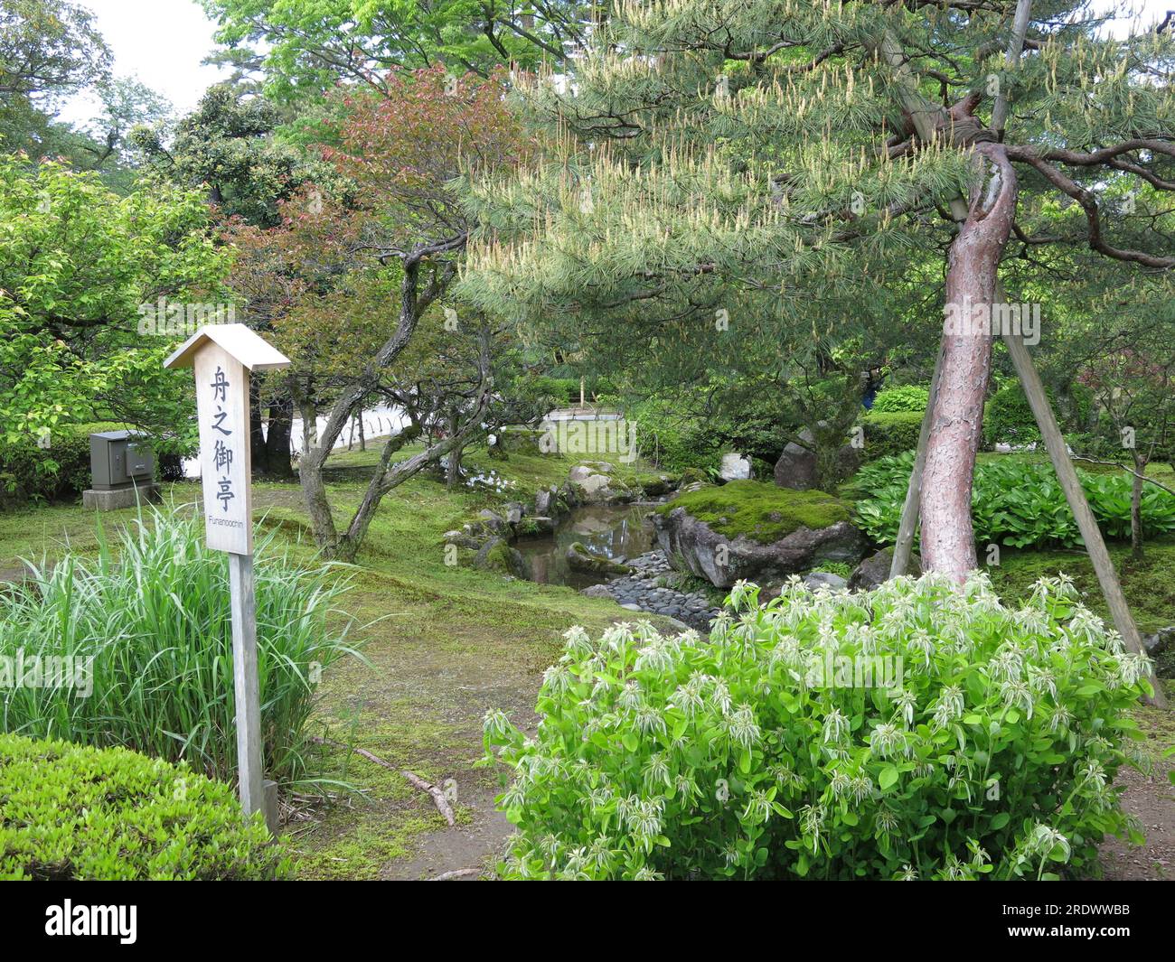 Horticultural delights in Japan: Kenrokuen is one of Japan's great ...
