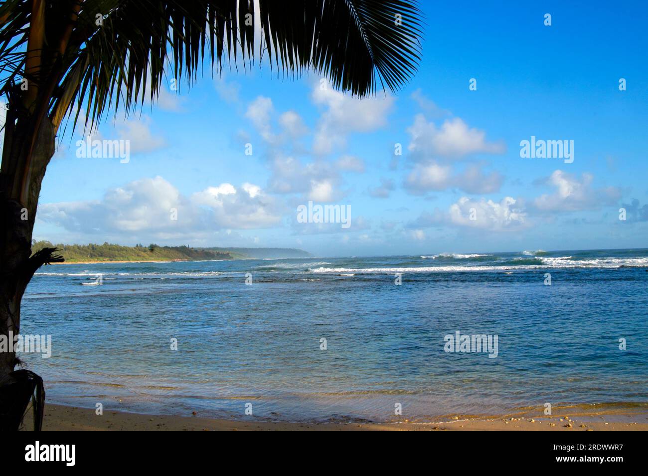Tropical vista shows Big Island of Hawaii and a small tropical shower ...