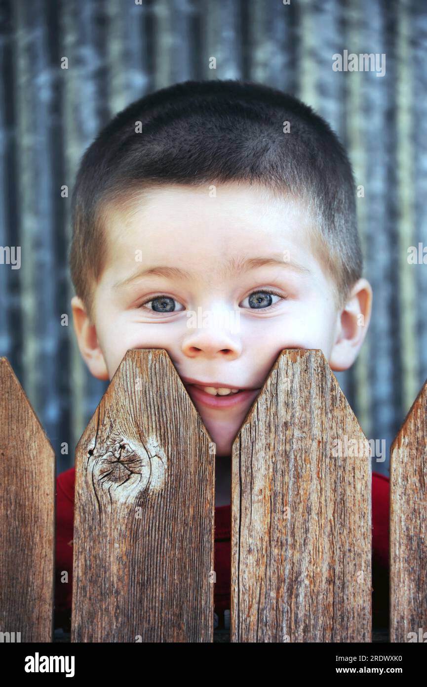 Little boy stares over his backyard fence. His face is pressed against ...