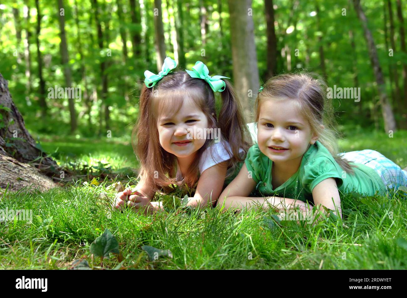 Two sisters lay on the grass of their yard. Each sister has a different ...